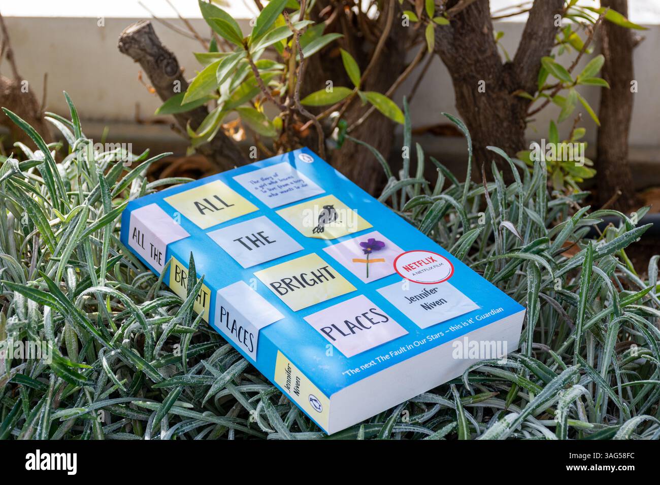 Close-up of Jennifer Niven's All the Bright Places novel in the garden ...