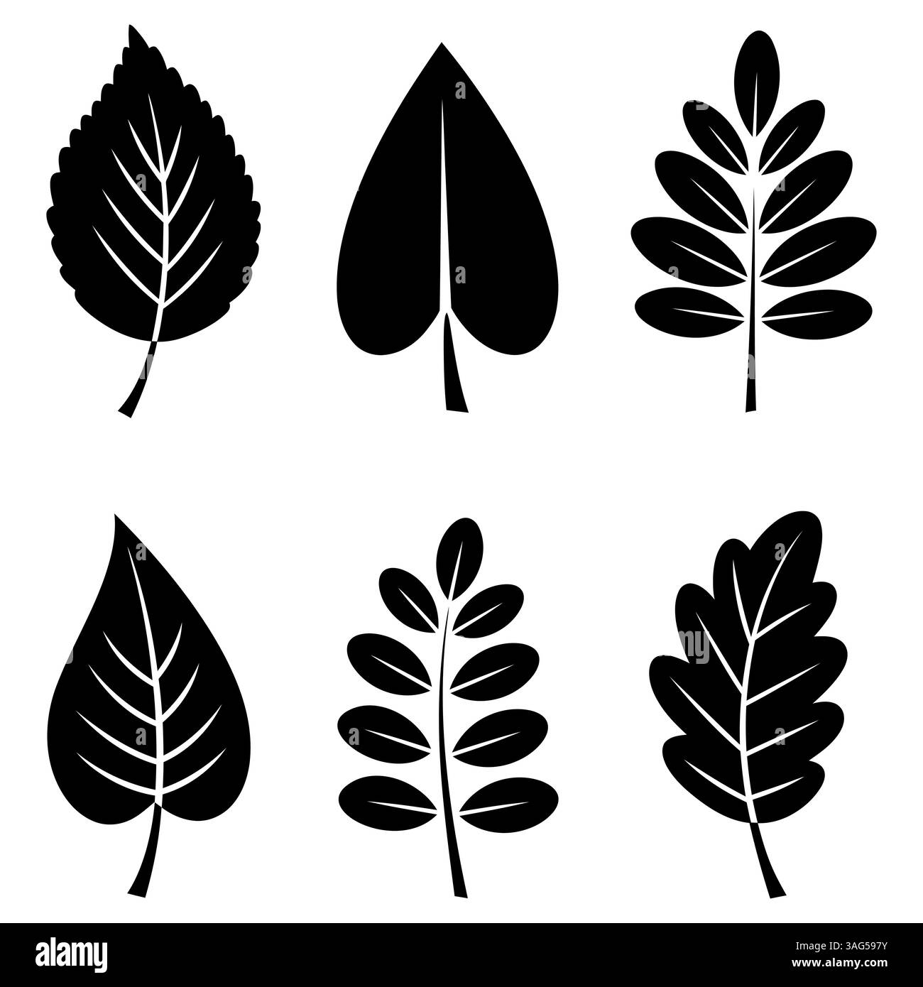 Leaf icon. Black leaf icons isolated on white background. Vector ...