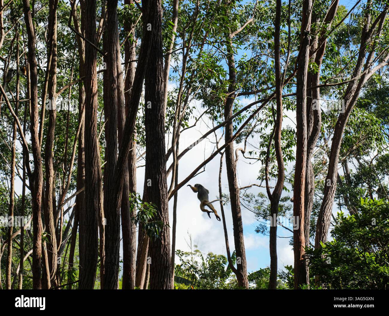 (250408) -- ANTANANARIVO, April 8, 2025 (Xinhua) -- This photo taken on ...