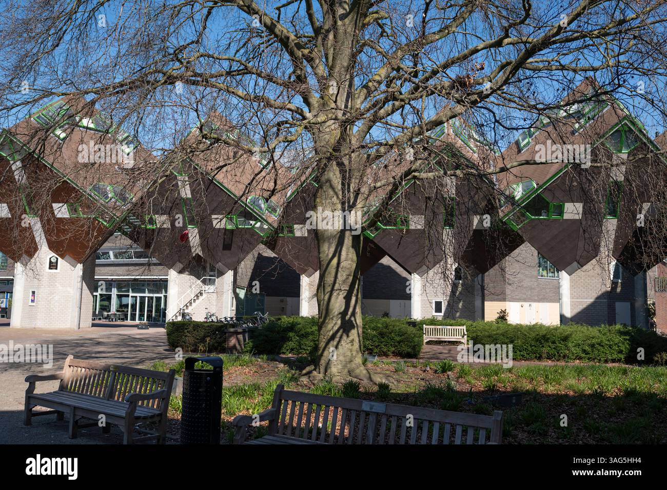 Experimental stilt cube houses dating from the 70s in Helmond ...