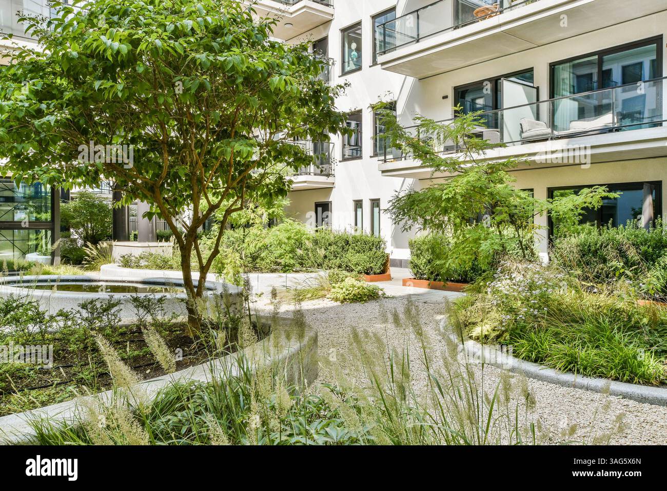 A beautifully designed modern residential courtyard featuring lush ...