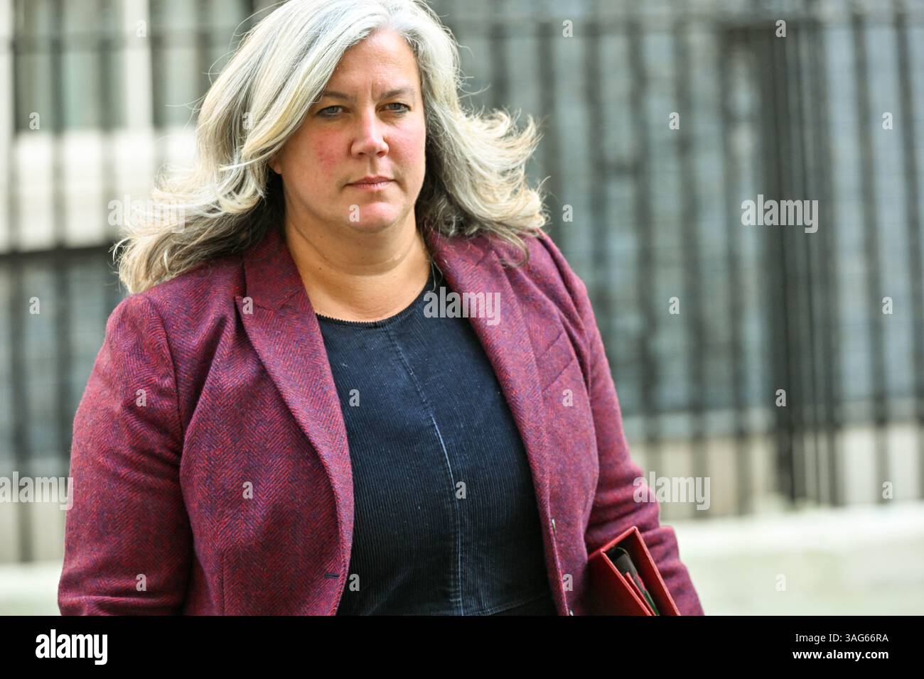 London, UK. 08th Apr, 2025. Heidi Alexander, Transport Secretary, at a ...