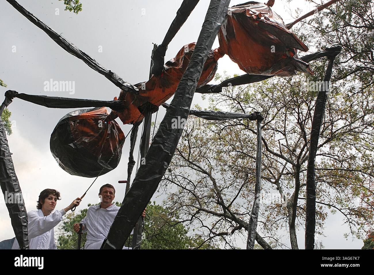 Teatro de insectos hi-res stock photography and images - Alamy