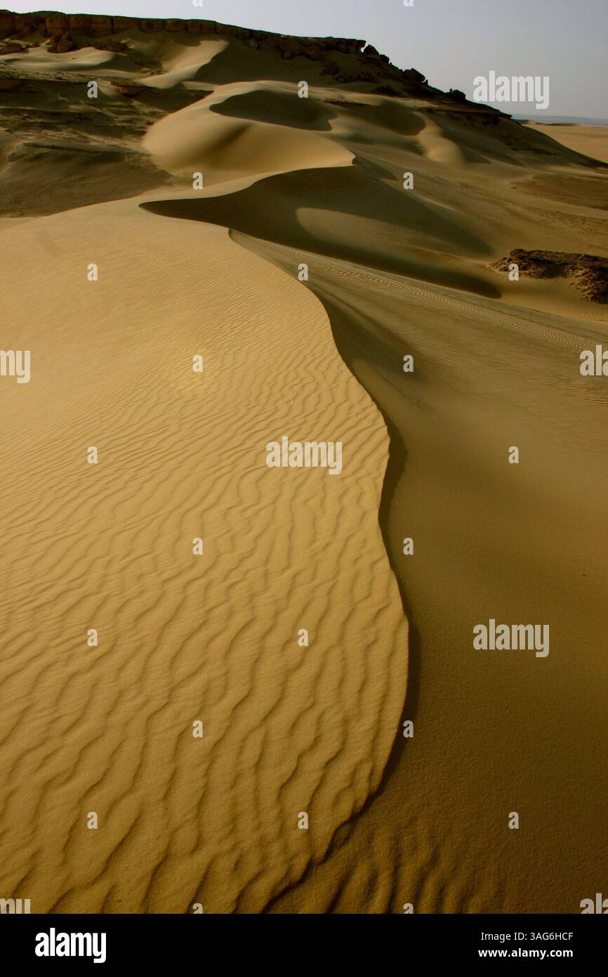 Jul 11, 2006 - Siwa, Egypt - Sand dune patterns in the Sahara Desert ...