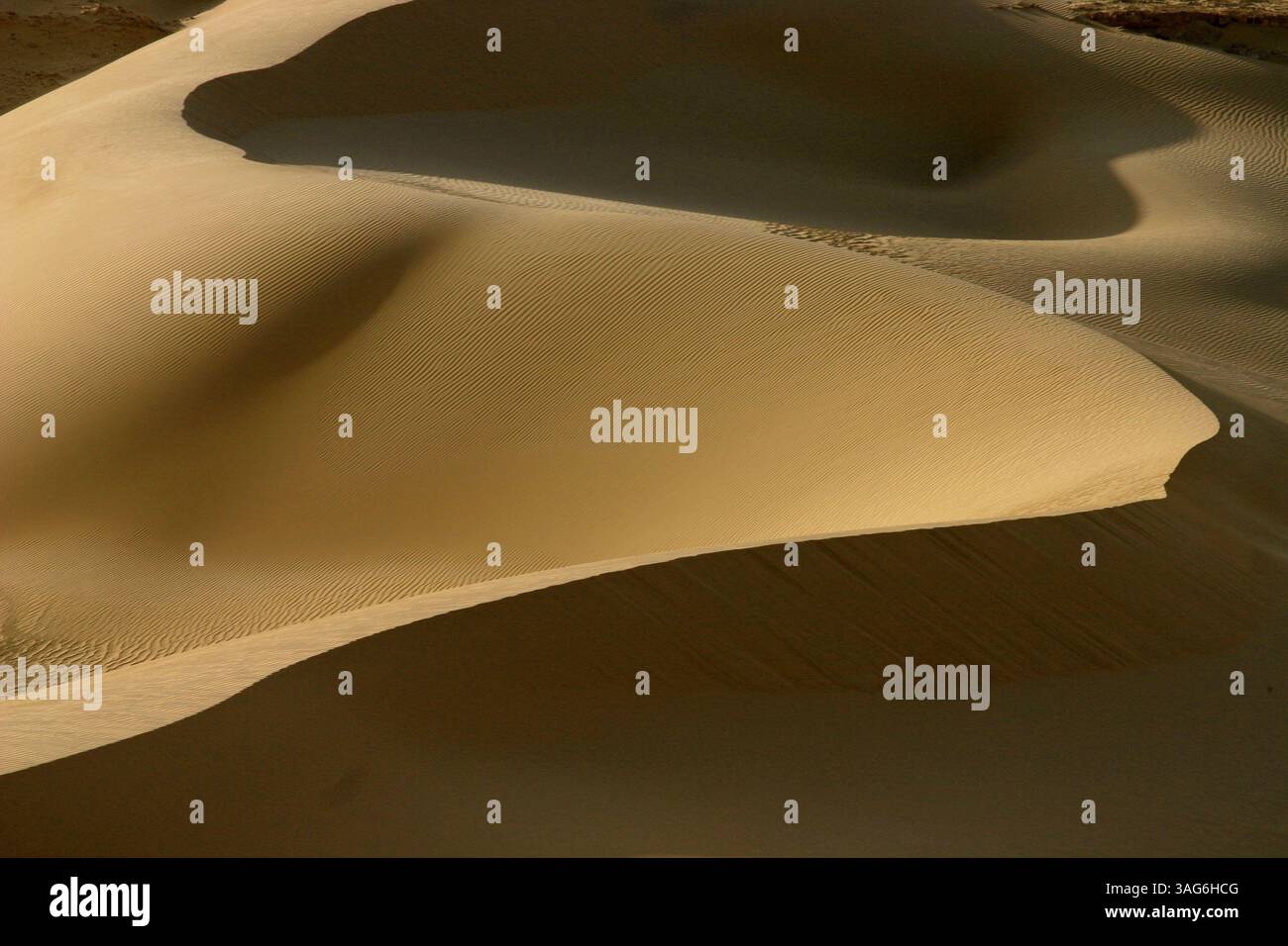Jul 11, 2006 - Siwa, Egypt - Sand dune patterns in the Sahara Desert ...