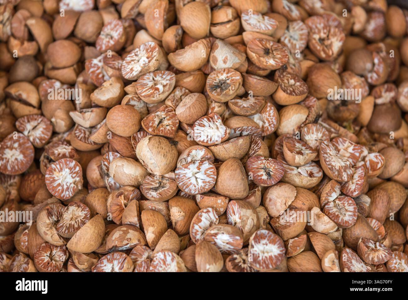 Chewing gum culture in market at Payathonsu in the south of Kayin State ...