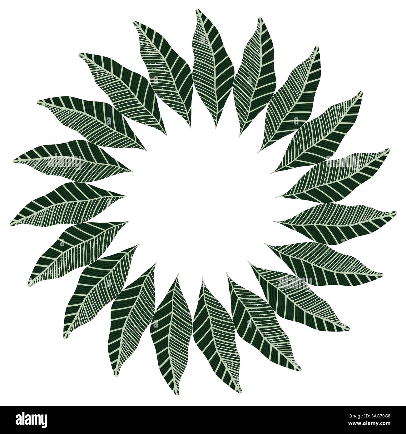 Circular Arrangement of Green Leaves with Botanical Patterns on White ...