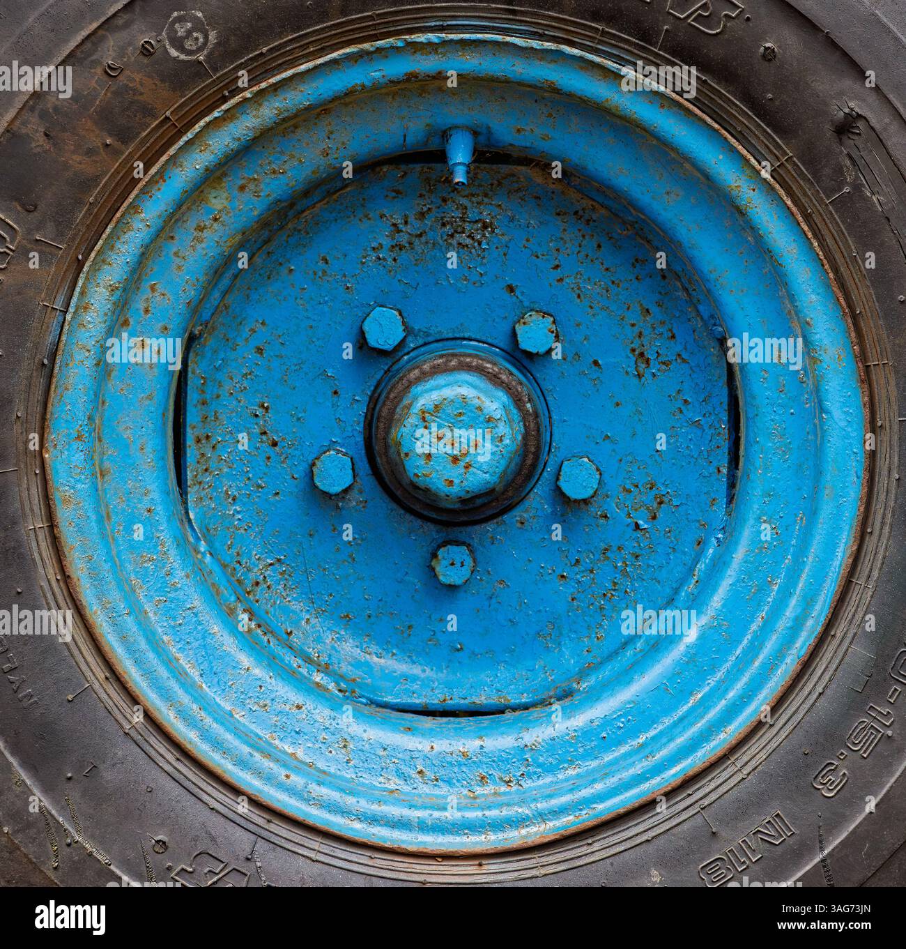 Close view of a blue wheel mounted on a sturdy tire, revealing ...