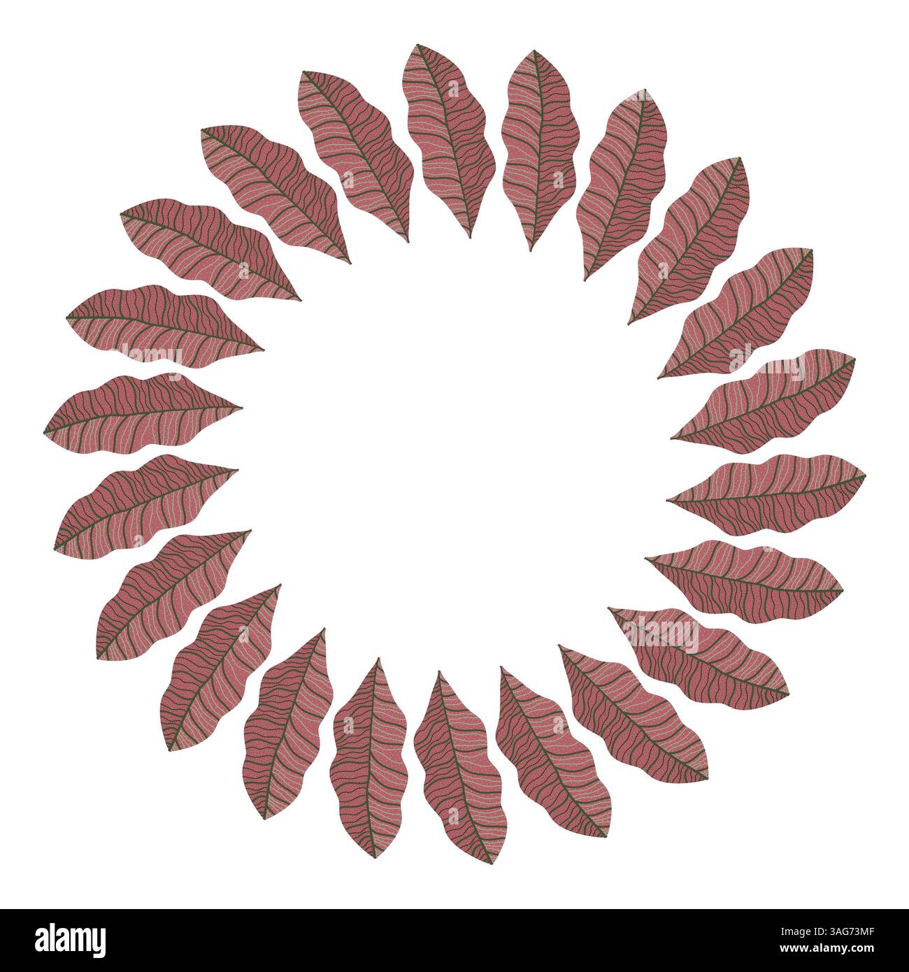 Natural Leaf Pattern in a Circular Arrangement on White Background ...