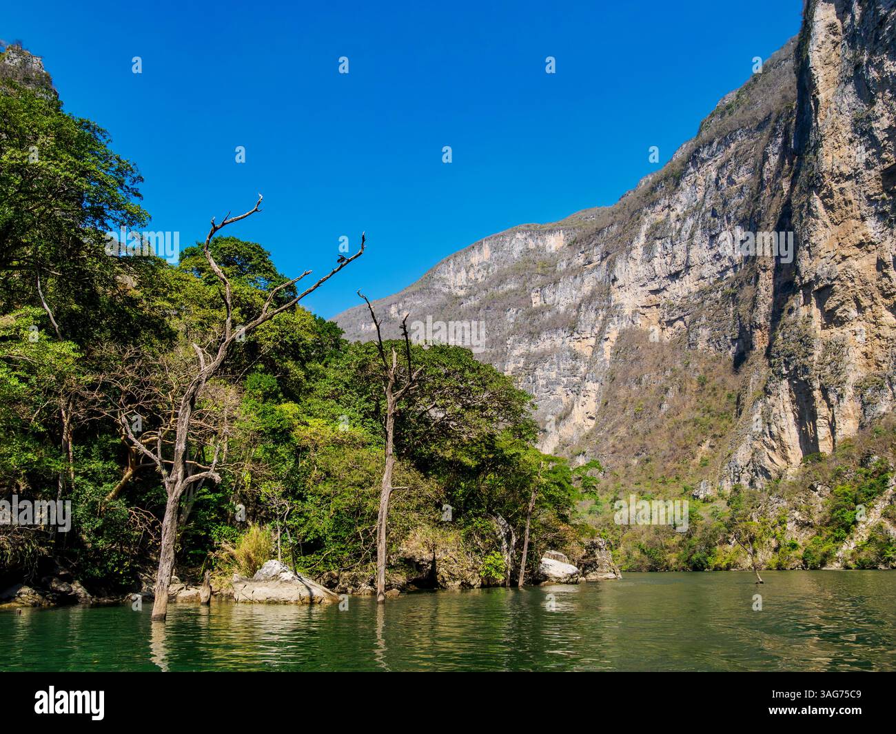Sumidero Canyon, Chiapas State, Mexico Stock Photo - Alamy