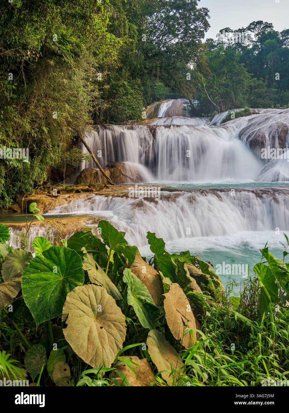 Agua Azul Waterfalls, Arroyo Agua Azul, Chiapas State, Mexico Stock ...