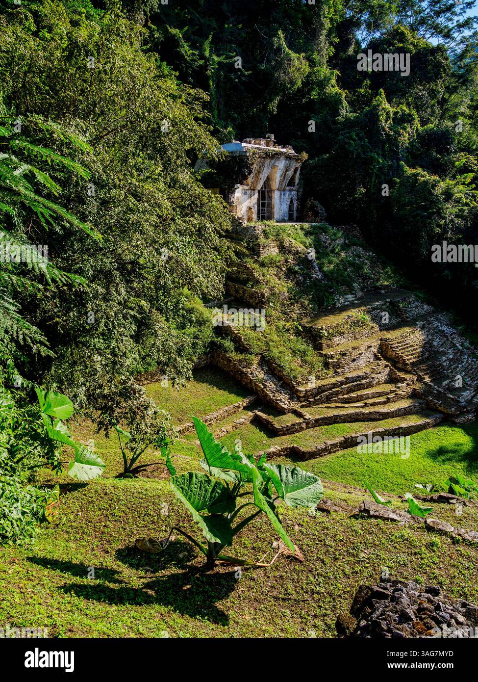Temple of the Foliated Cross, elevated view, Palenque Archaeological ...