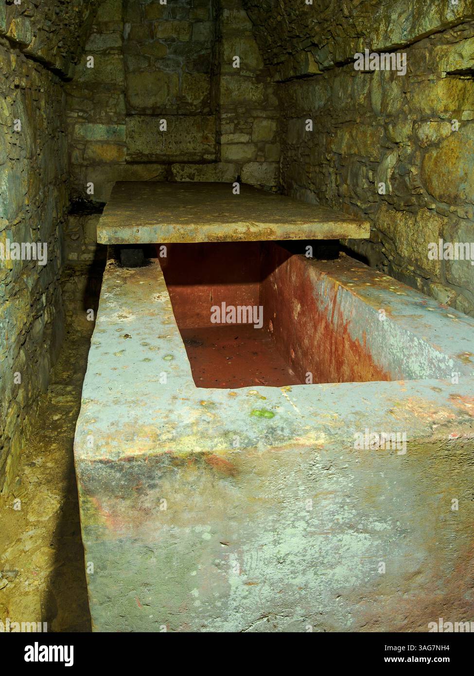 Stone Coffin at the Temple of the Red Queen, interior, Palenque ...