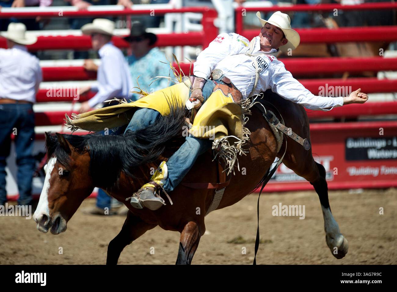 Bobby bs hi-res stock photography and images - Alamy