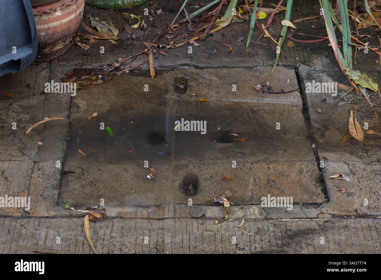 Working for drain cleaning. Problem with the drainage system Stock ...