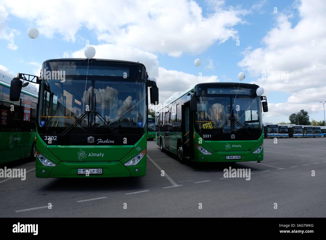 City buses stand behind each other in a large Parking lot of the fleet ...