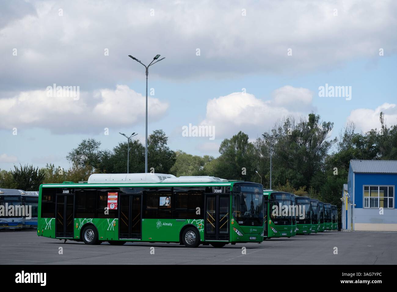 City buses stand behind each other in a large Parking lot of the fleet ...