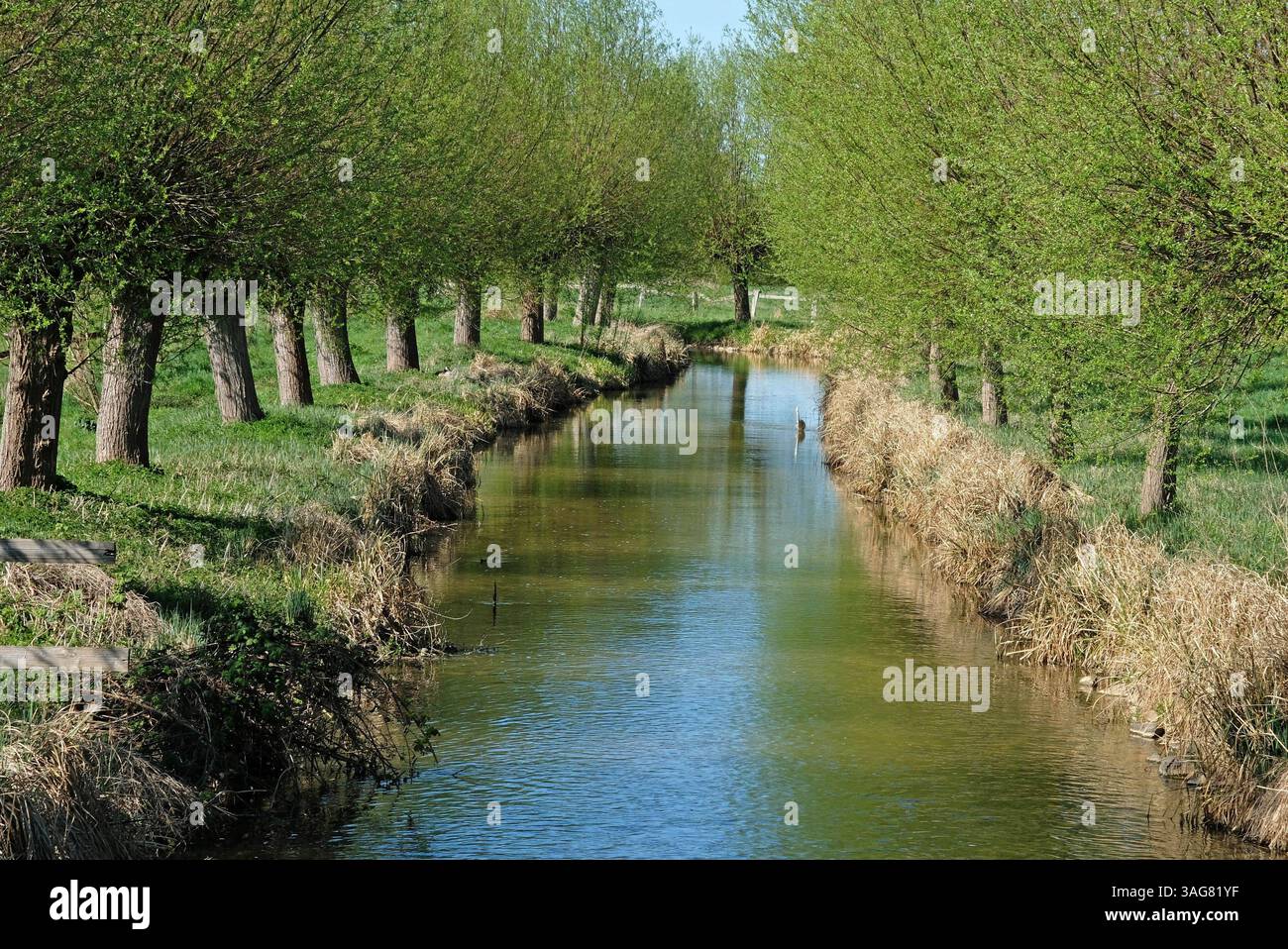 Frühling im Rhein-Erft-Kreis Stadt Kerpen, Sindorf, 07.04.2025 ...