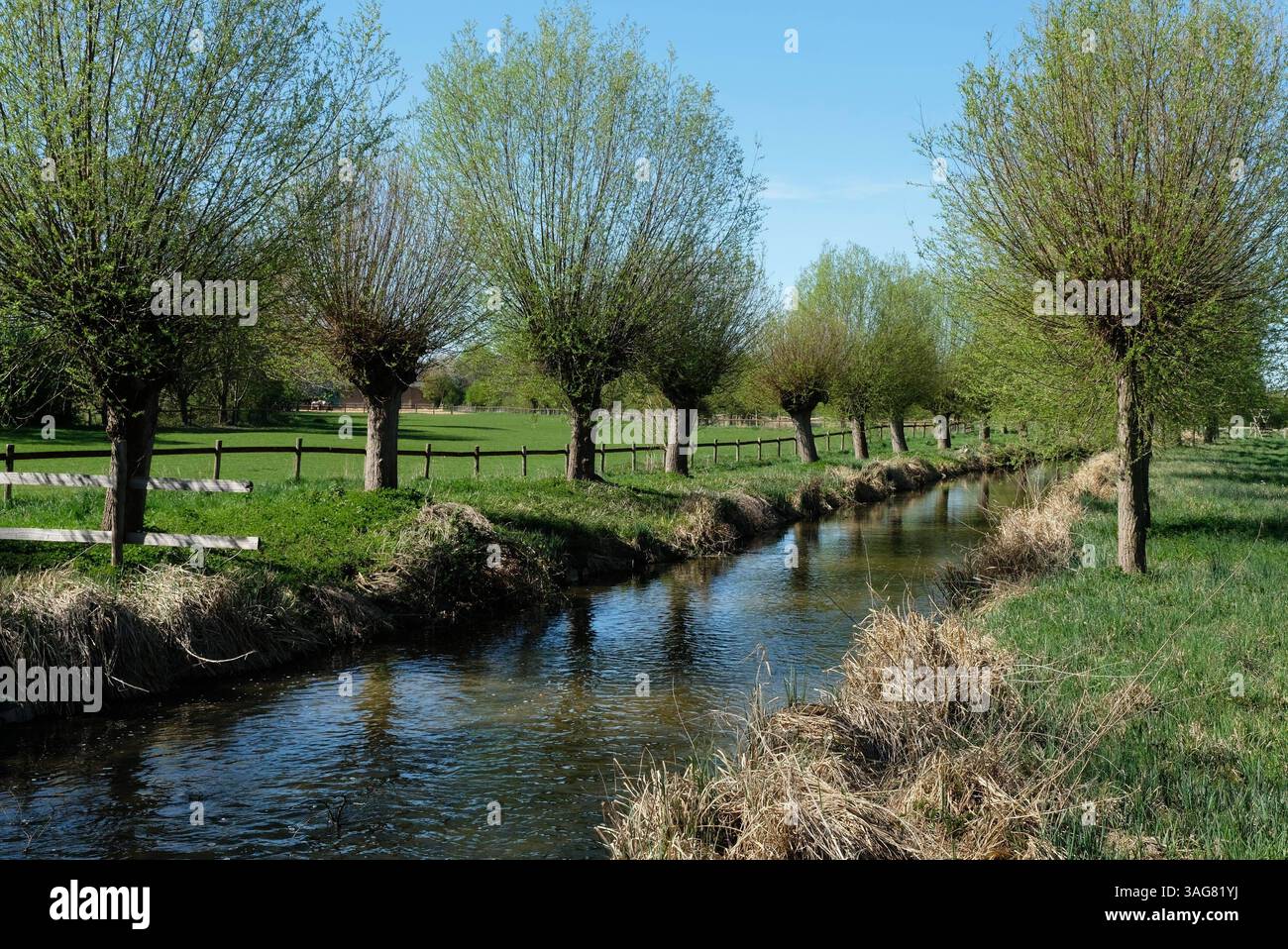 Frühling im Rhein-Erft-Kreis Stadt Kerpen, Sindorf, 07.04.2025 ...
