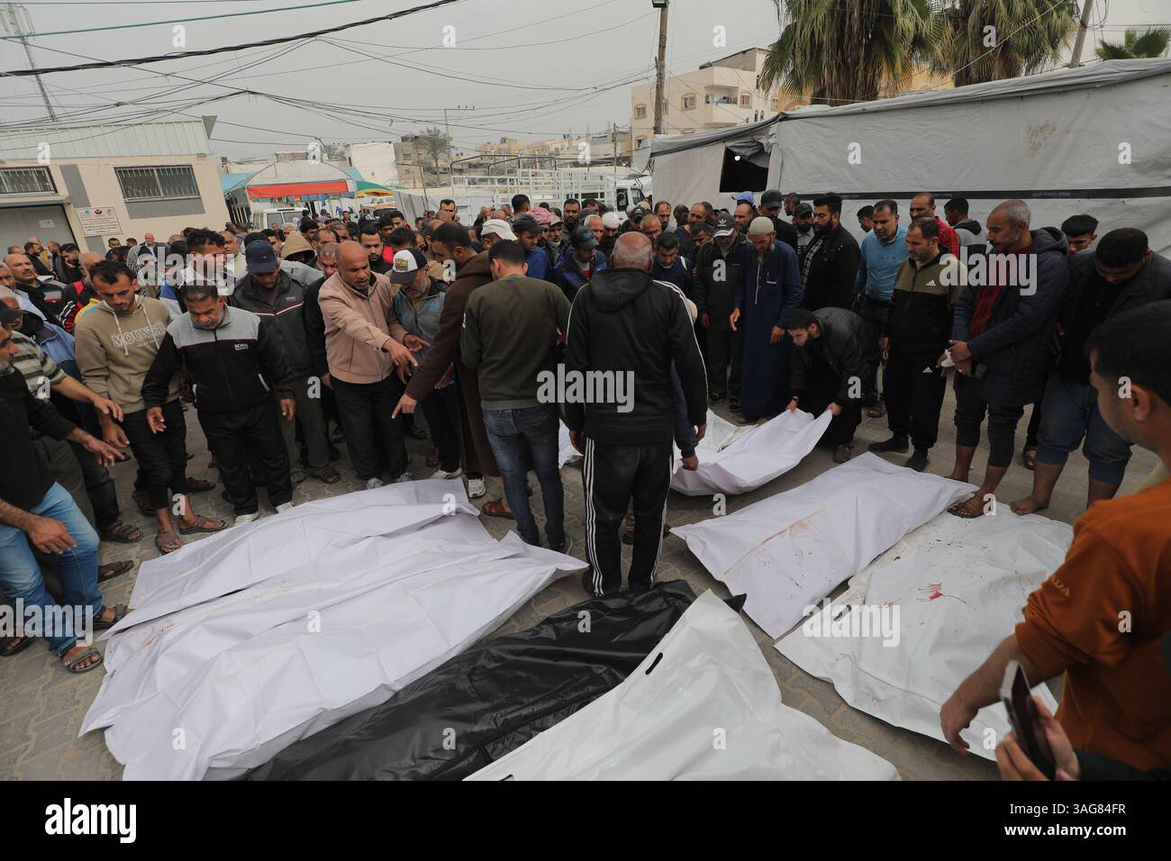 Palestinians carry the bagged-body of one of the victims killed by ...