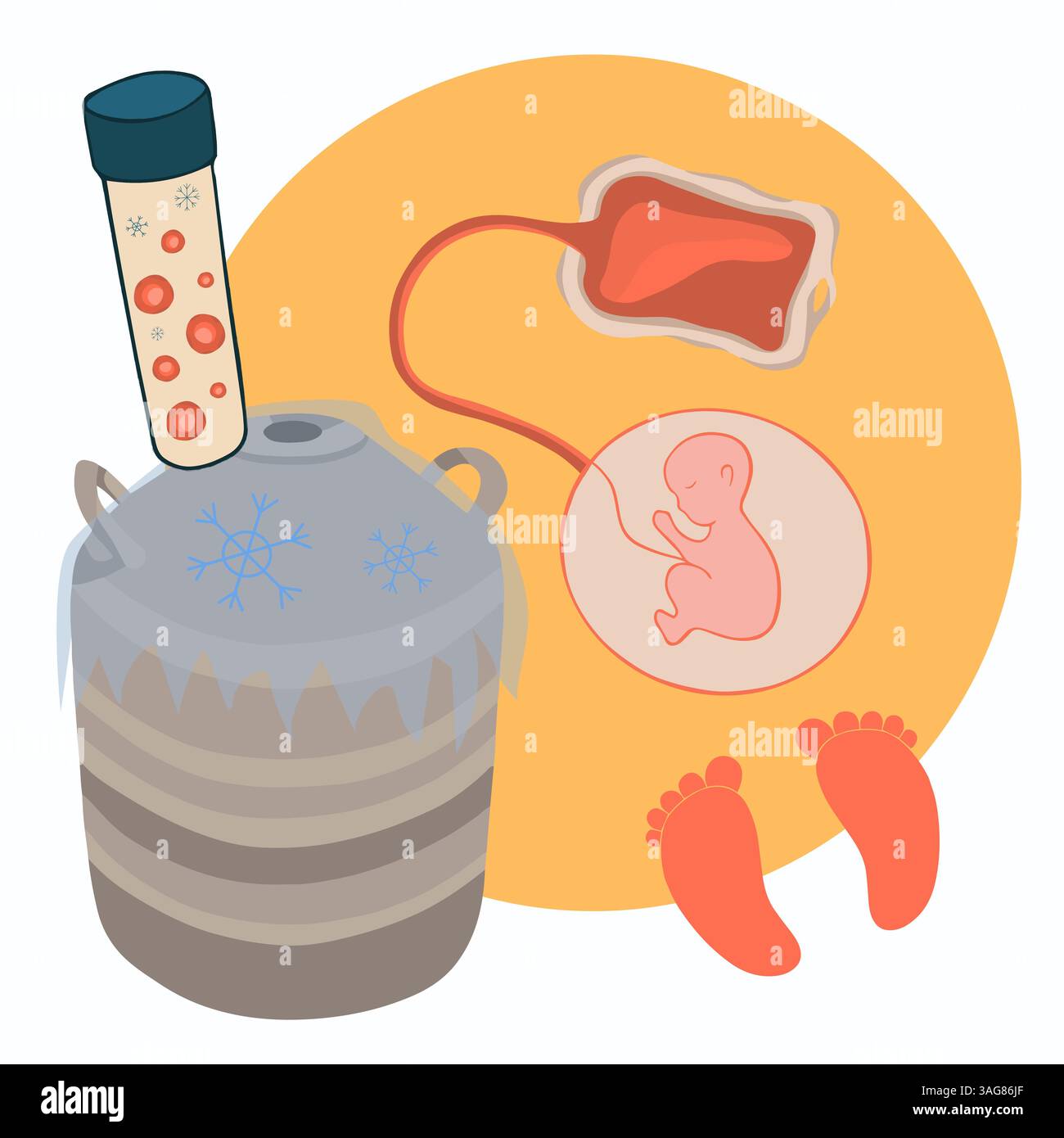 Vector isolated illustration of cord blood freezing. Stem cell cryobank ...