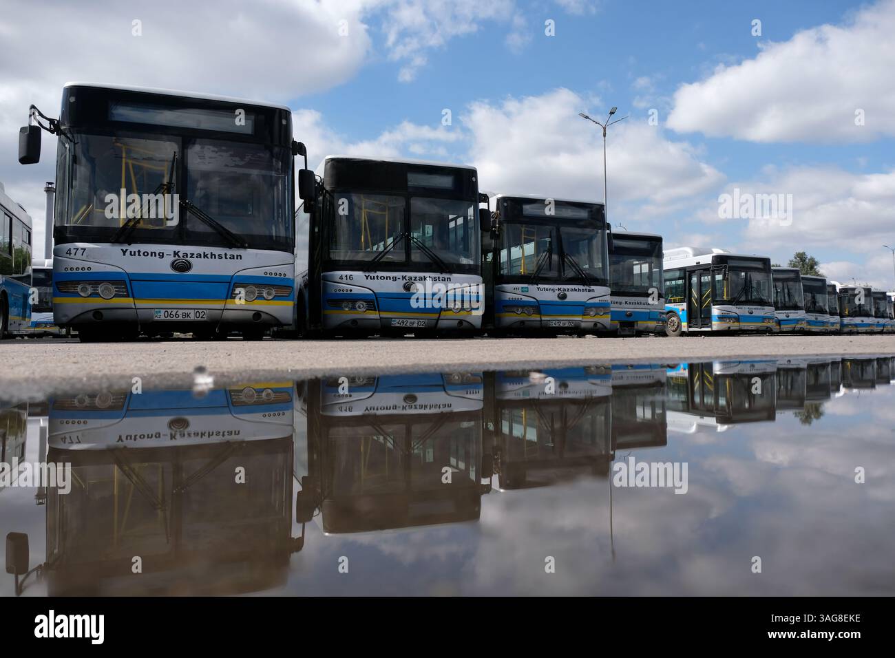 City buses stand behind each other in a large Parking lot of the fleet ...