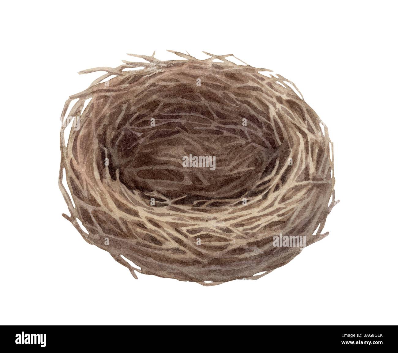 Empty bird nest from twig in a vintage Easter theme. Realistic hand ...