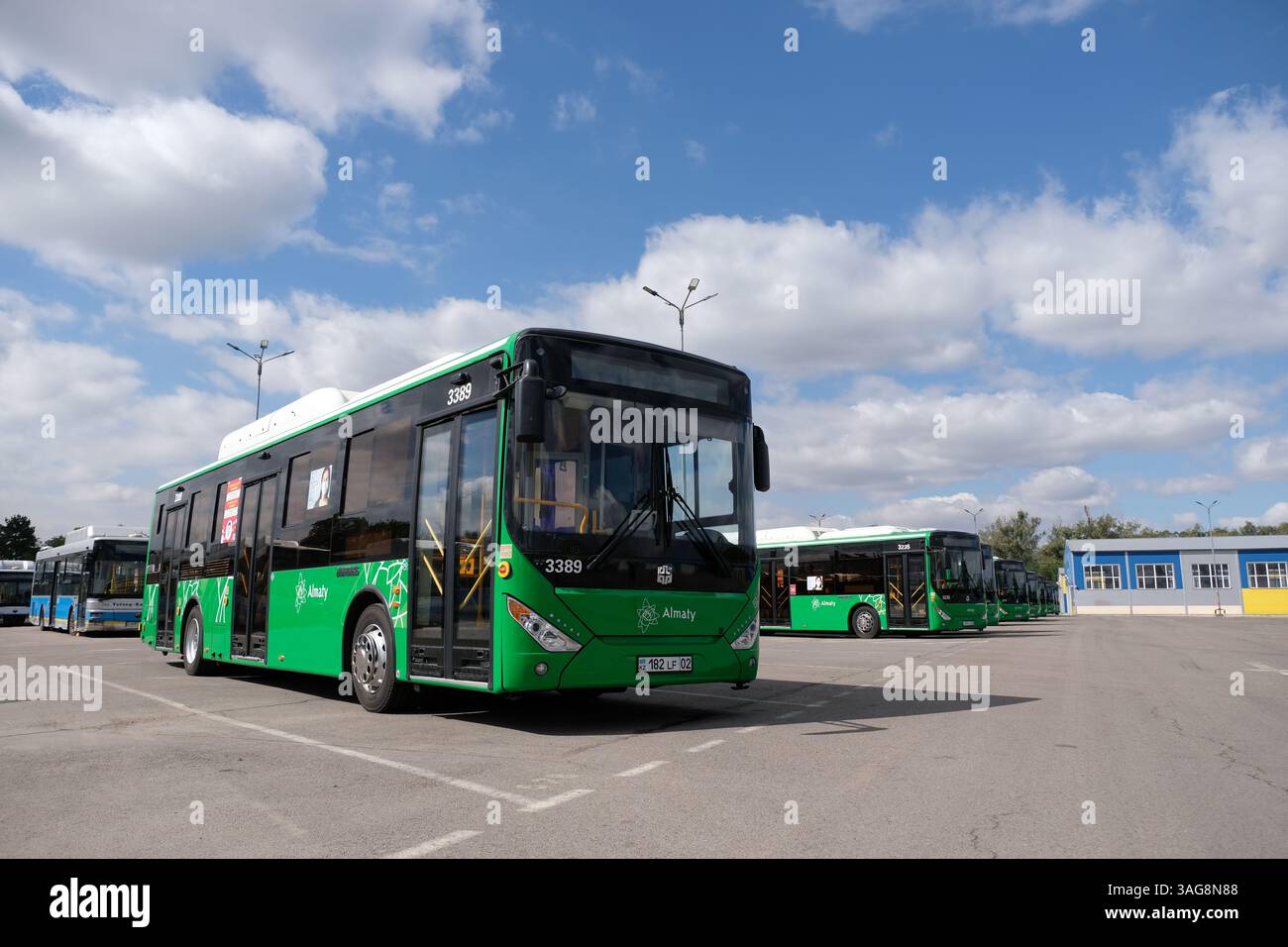 City buses stand behind each other in a large Parking lot of the fleet ...