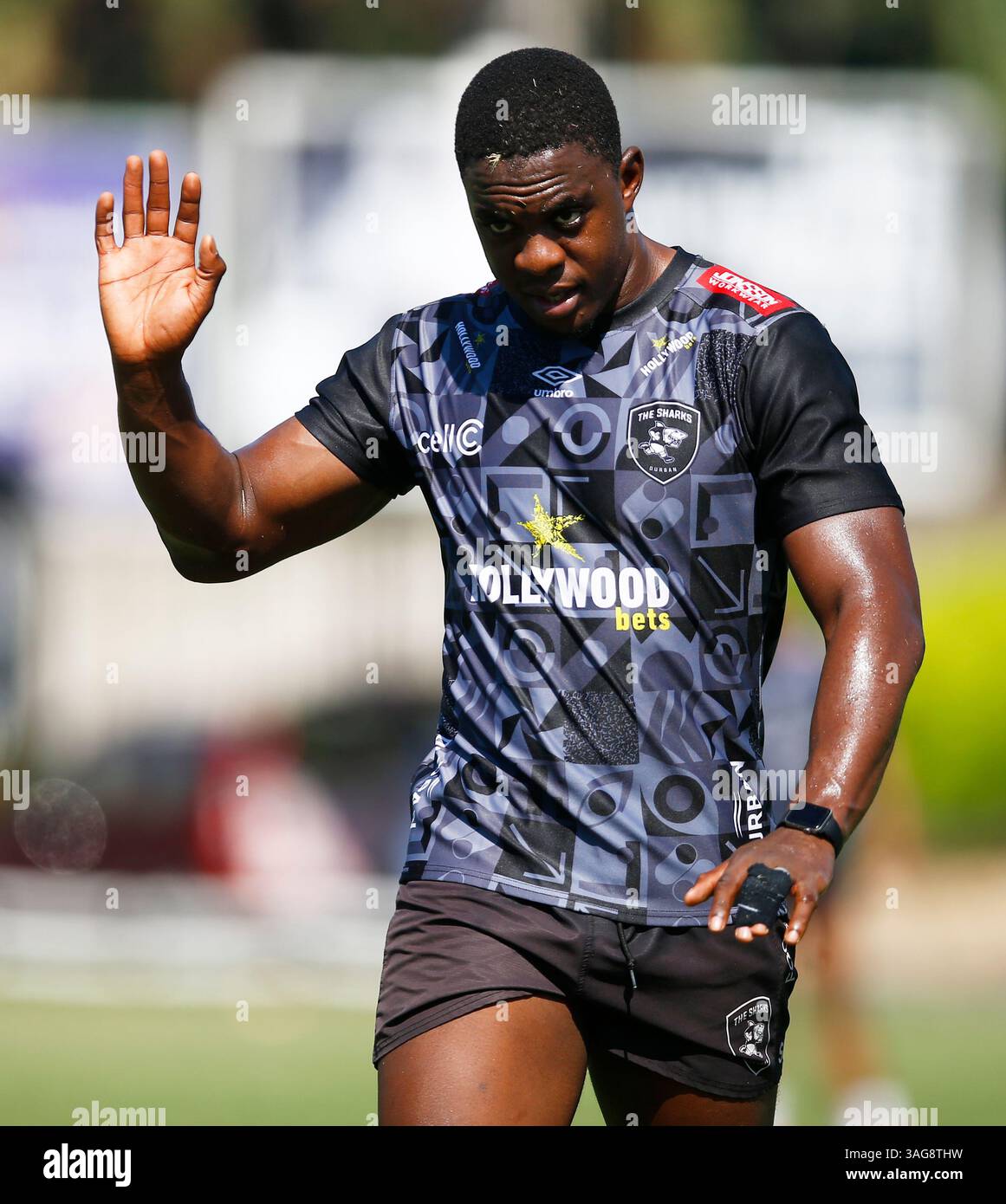 Emmanuel Tshituka of the Hollywoodbets Sharks during the Hollywoodbets ...