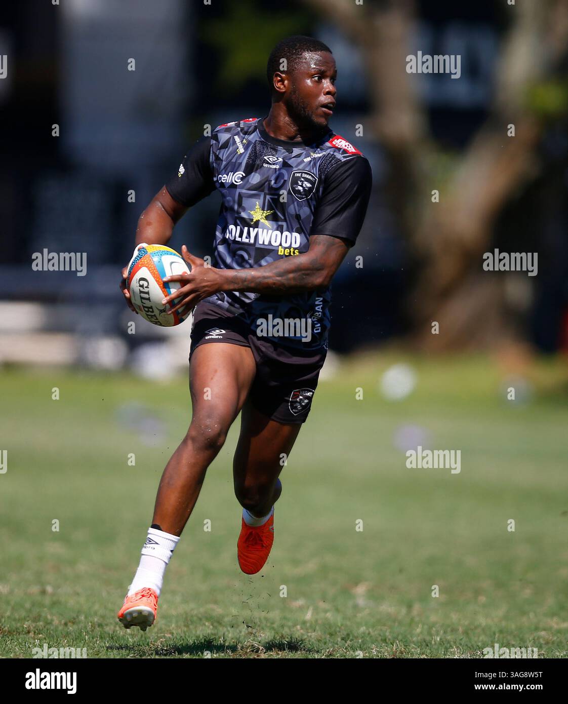 Aphelele Fassi of the Hollywoodbets Sharks during the Hollywoodbets ...