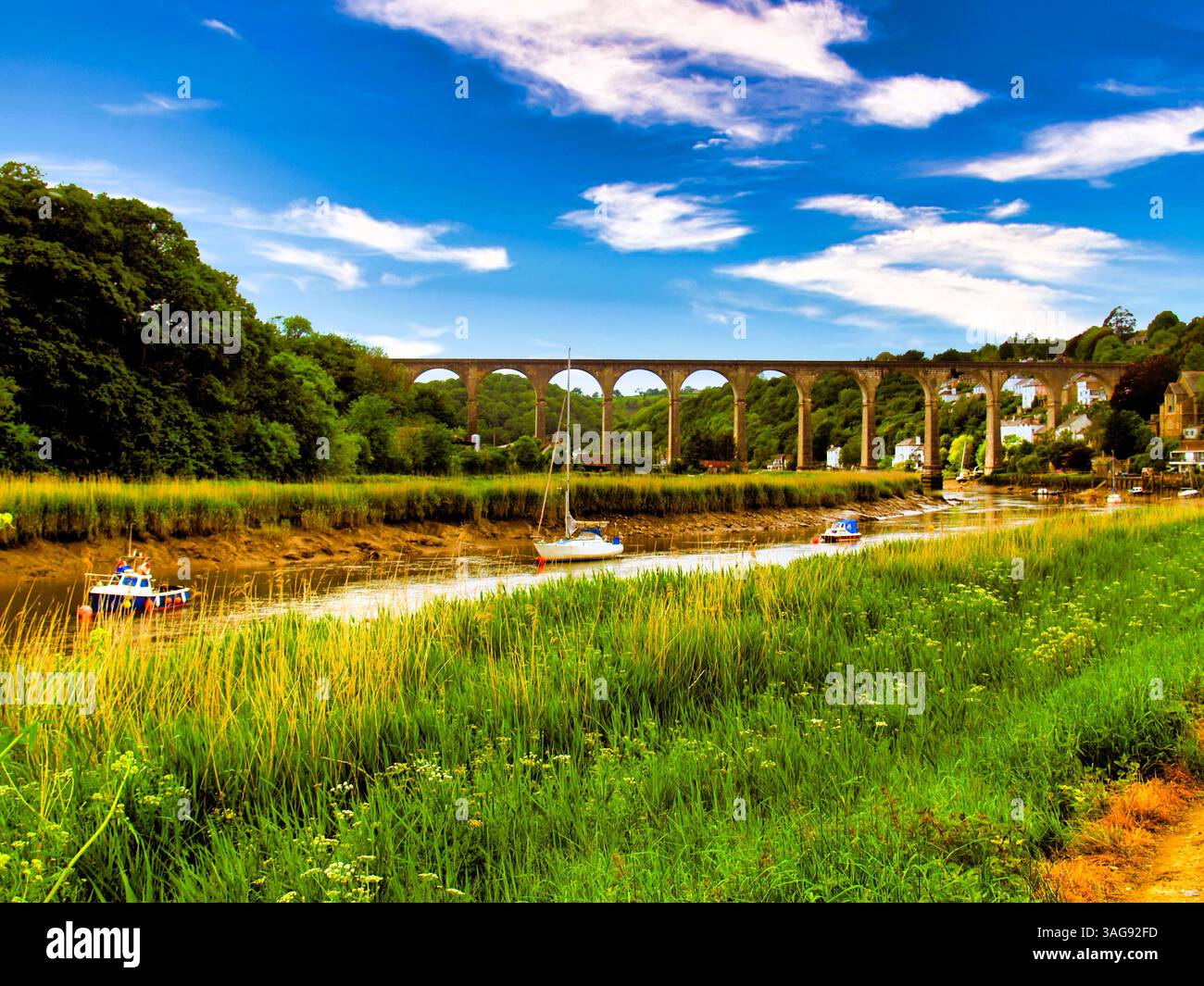 Calstock railway viaduct over the River Tamar dividing Devon and ...