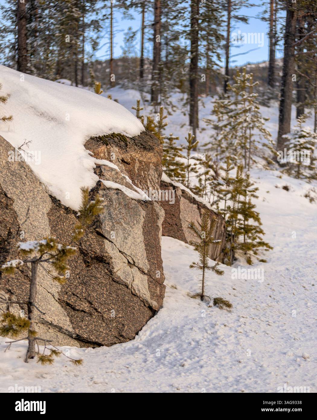 Ice age stone in winter forest hi-res stock photography and images - Alamy