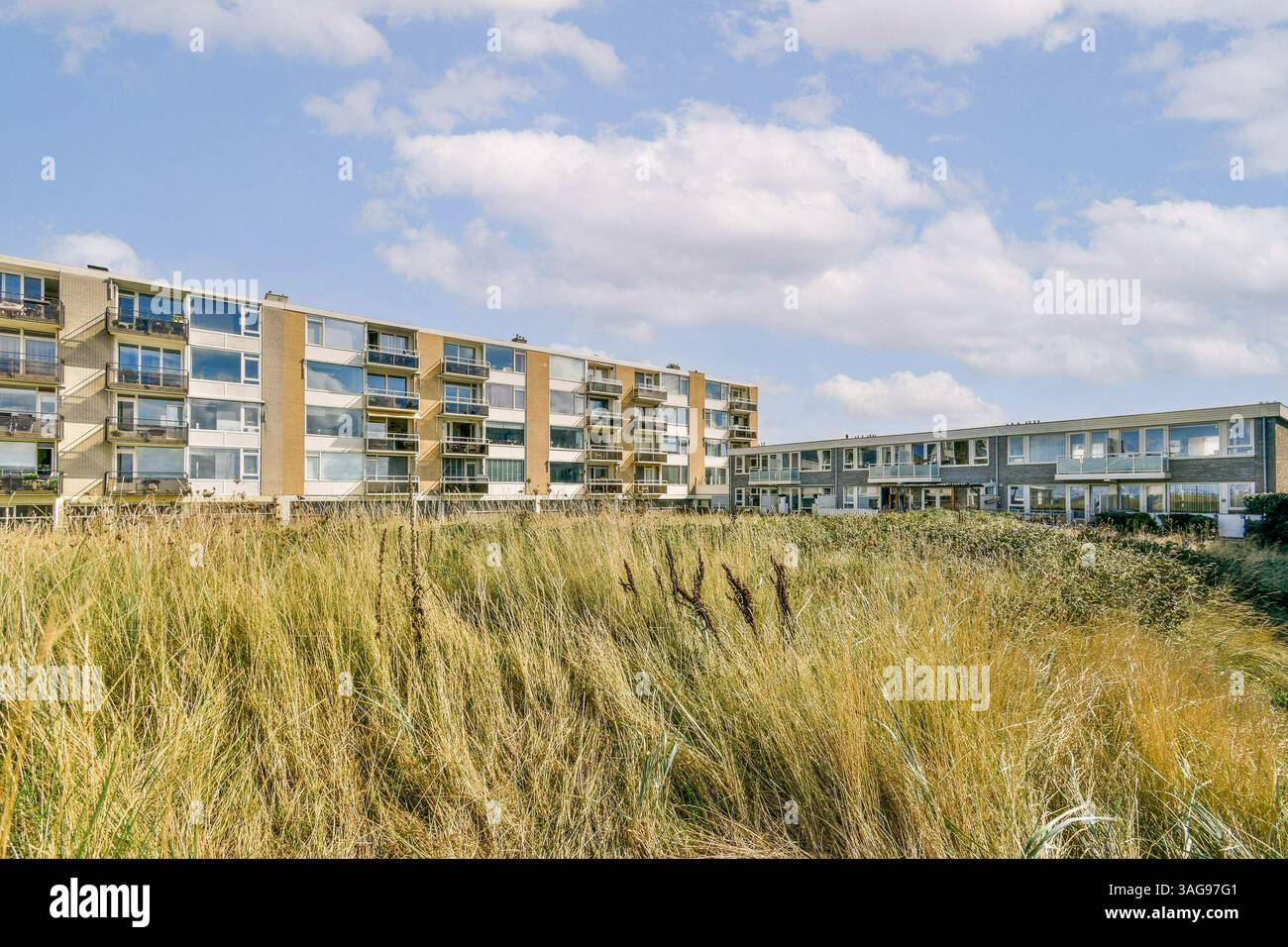 Modern apartments overlook lush greenery and golden grasses, blending ...