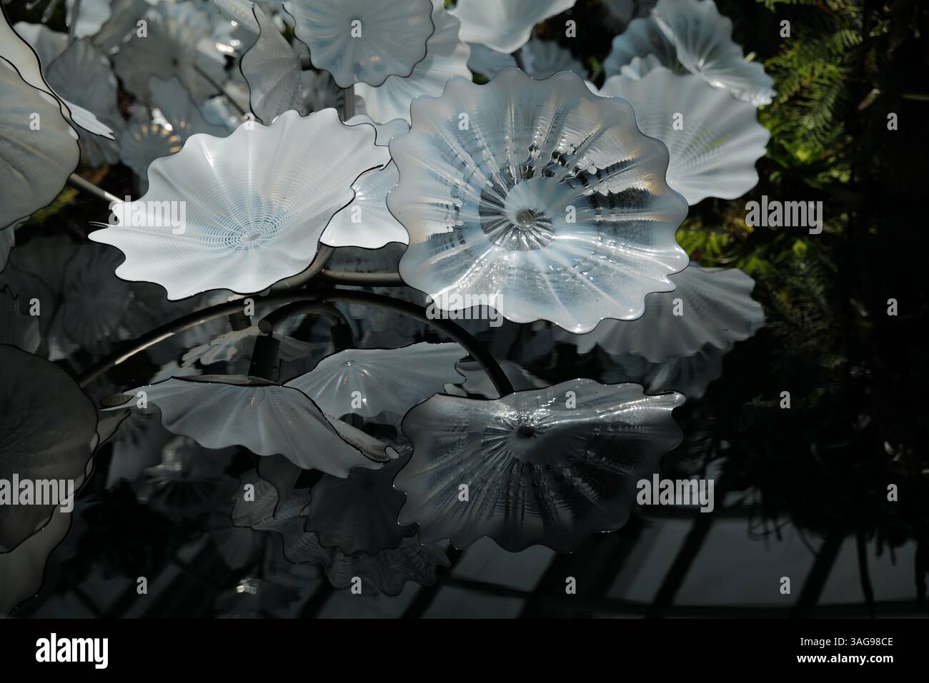 Decorative Glass Sculpture with Organic Flower Shapes and Soft Lighting ...