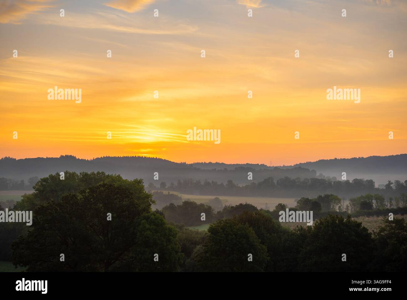 Beautiful golden hour landscape with trees in silhouette and orange sky ...