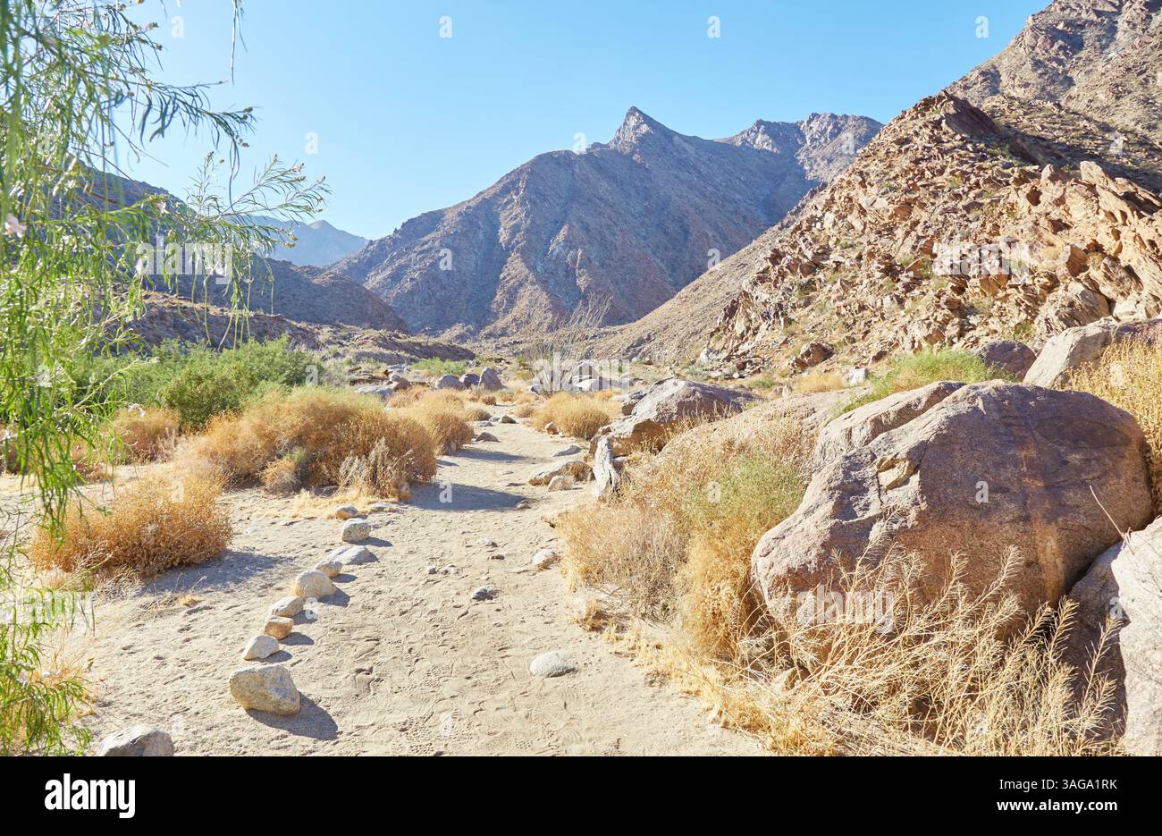 Anza-Borrego Desert State Park is California's largest State Park. It's ...