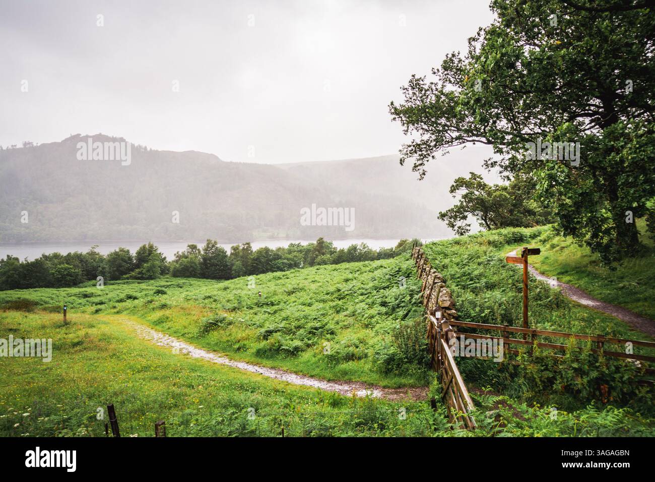 Path junction with wooden signpost in the Lake District National Park ...