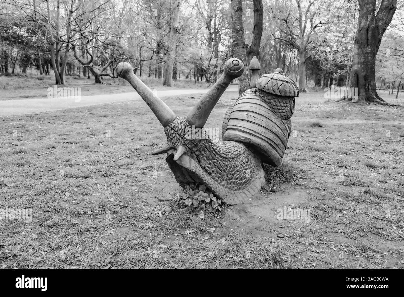 Sunny community garden Black and White Stock Photos & Images - Alamy