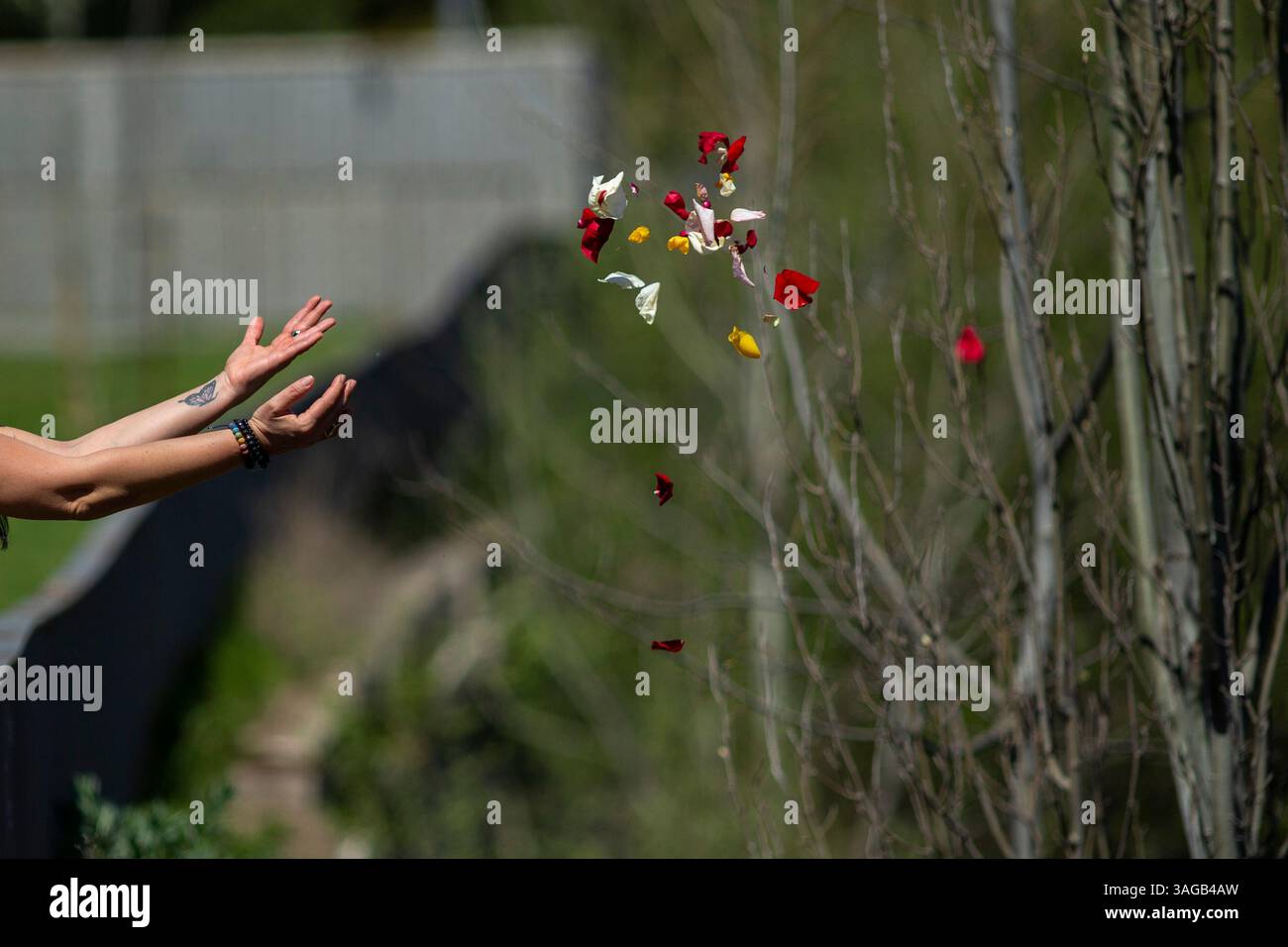 April 8, 2025, Madrid, Madrid, Spain: A woman throws petals of roses ...