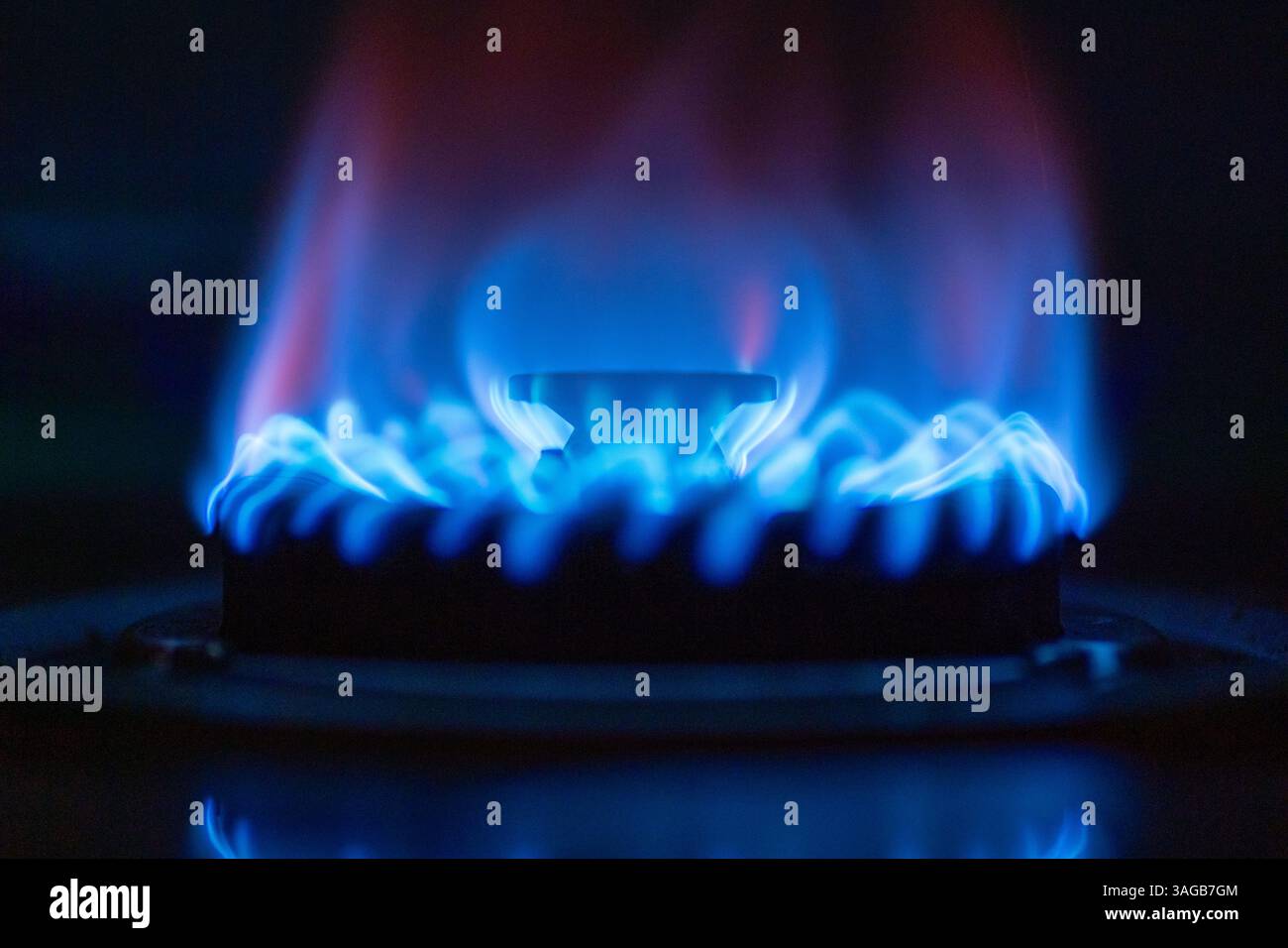 A gas stove burner with a bright blue flame, glowing against a dark ...
