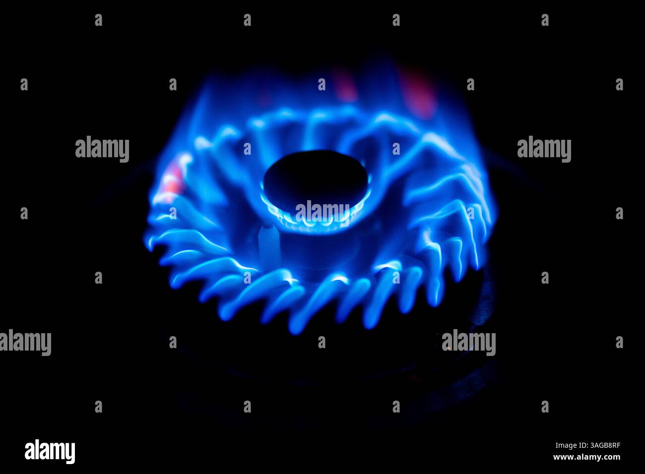 A gas stove burner with a bright blue flame, glowing against a dark ...