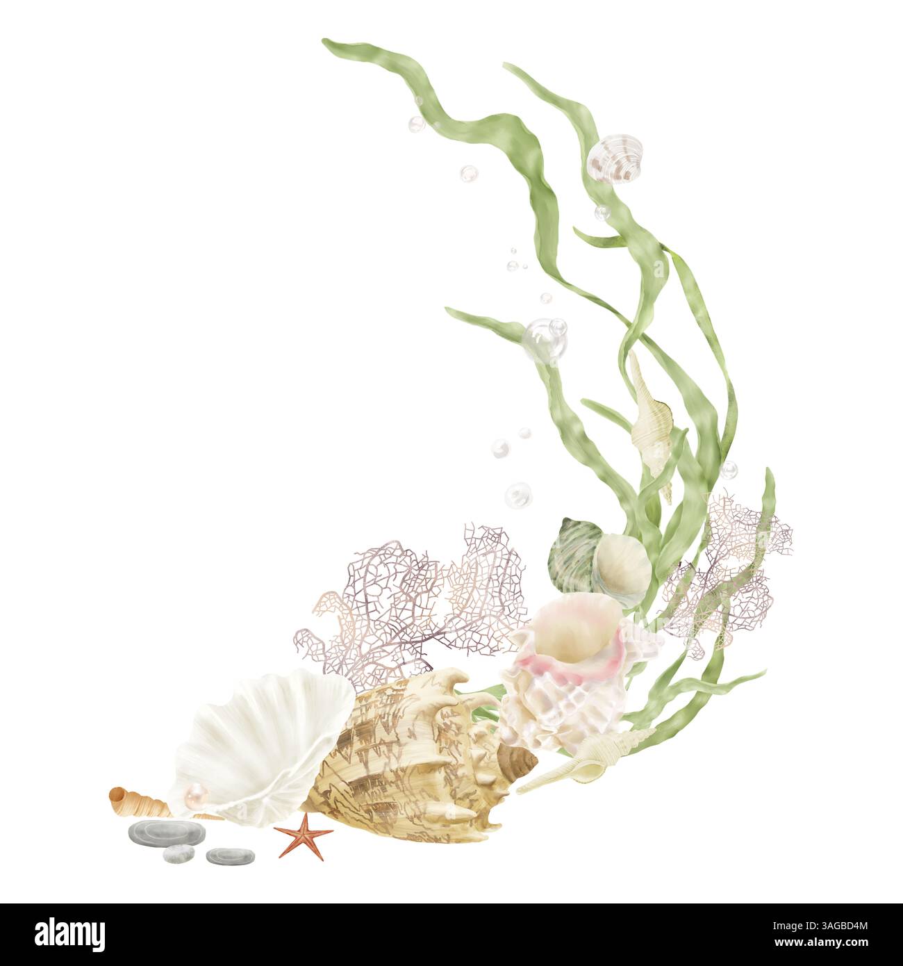 Seashell summer art in Cut Out Stock Images & Pictures - Alamy