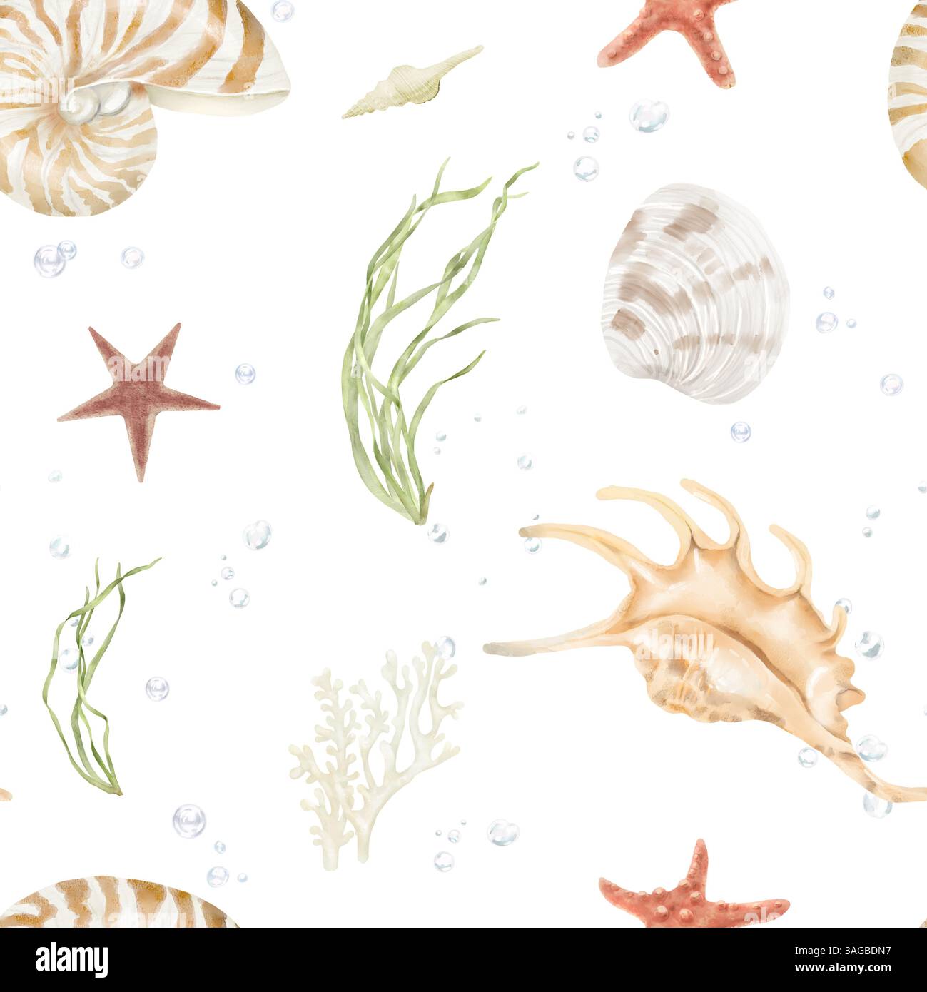 Seashells and wavy algae, seamless pattern. Watercolor illustration ...