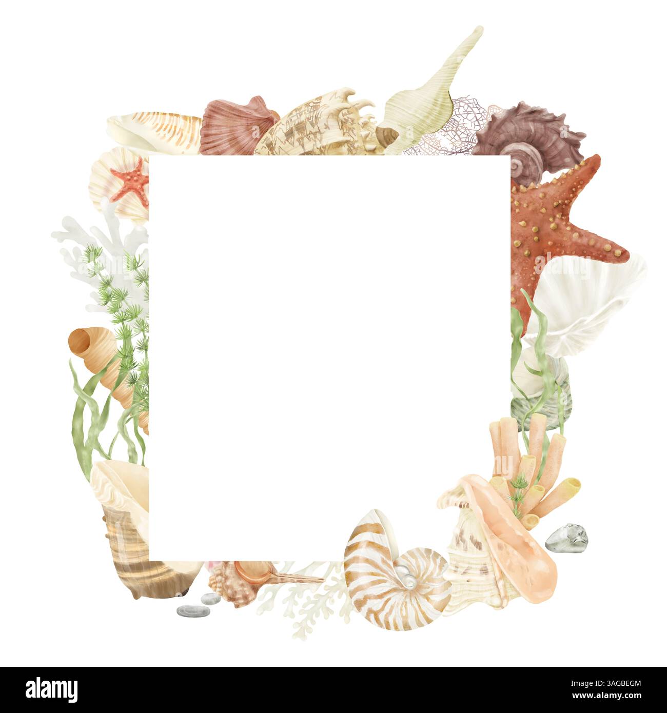 Seashells and wavy algae on a square frame. Digital watercolor ...