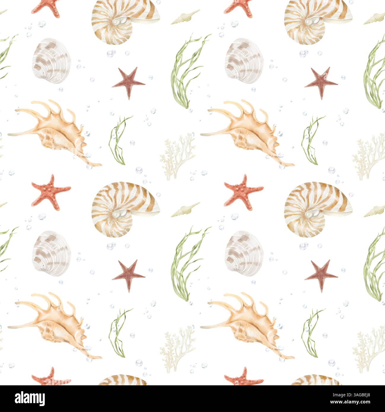 Seashells and wavy algae, seamless pattern. Watercolor illustration ...