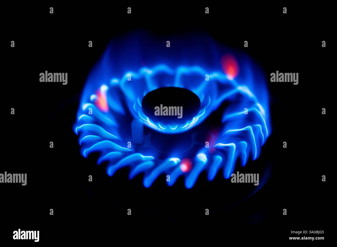A gas stove burner with a bright blue flame, glowing against a dark ...