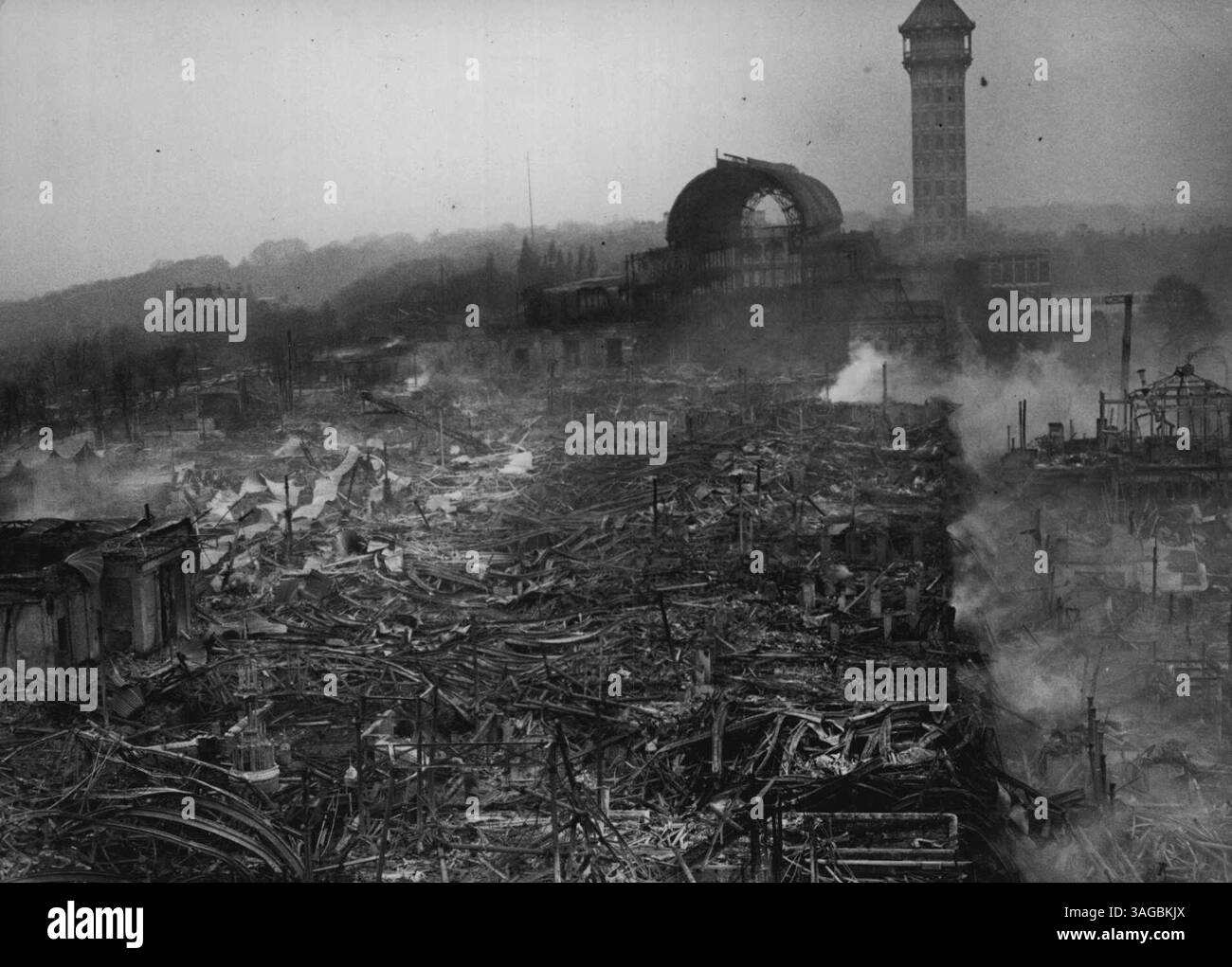 Crystal Palace Destroyed By Fire -- A general view taken from the South ...