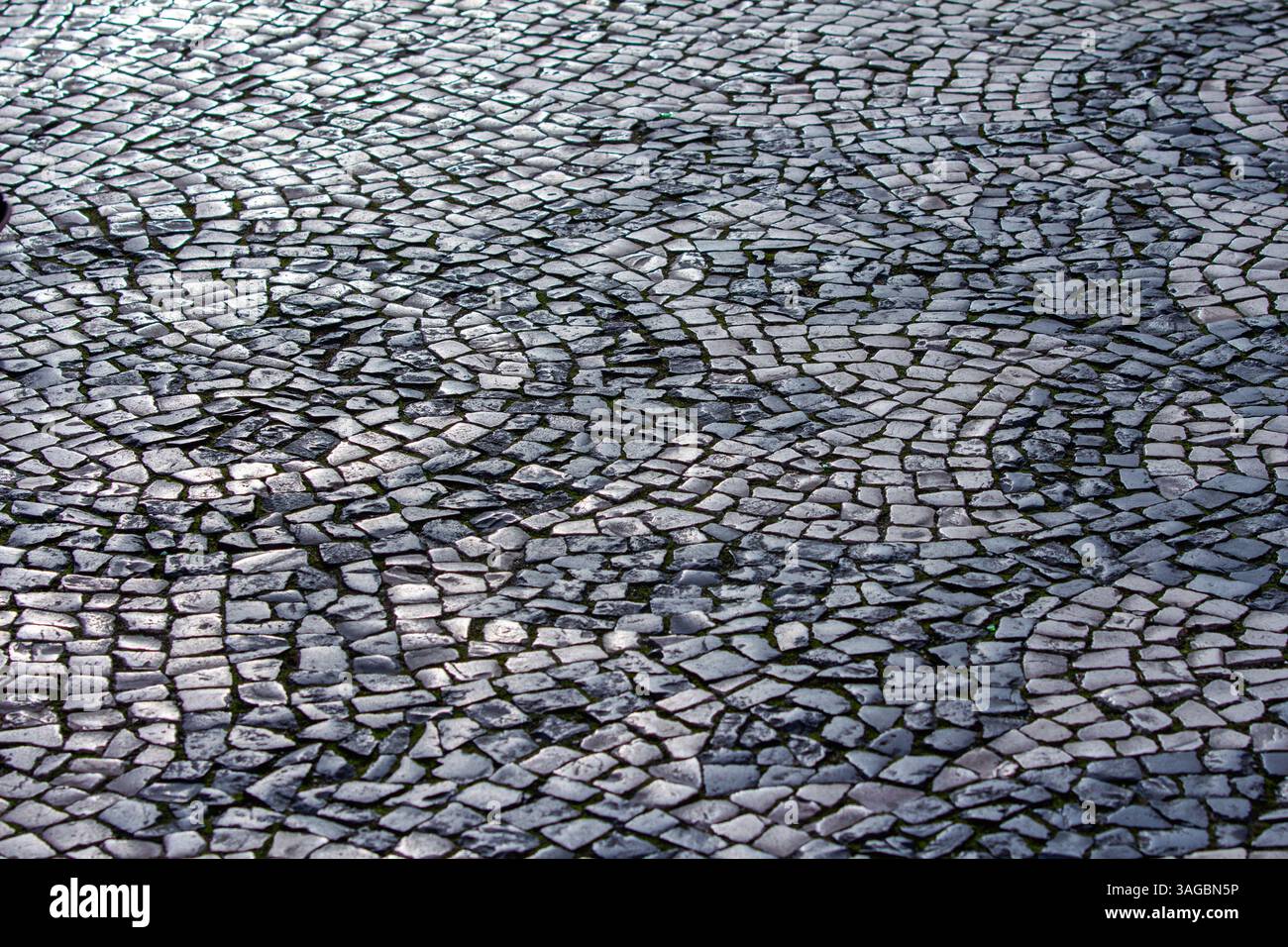 Traditional Portuguese pavement with black and white mosaic stones ...