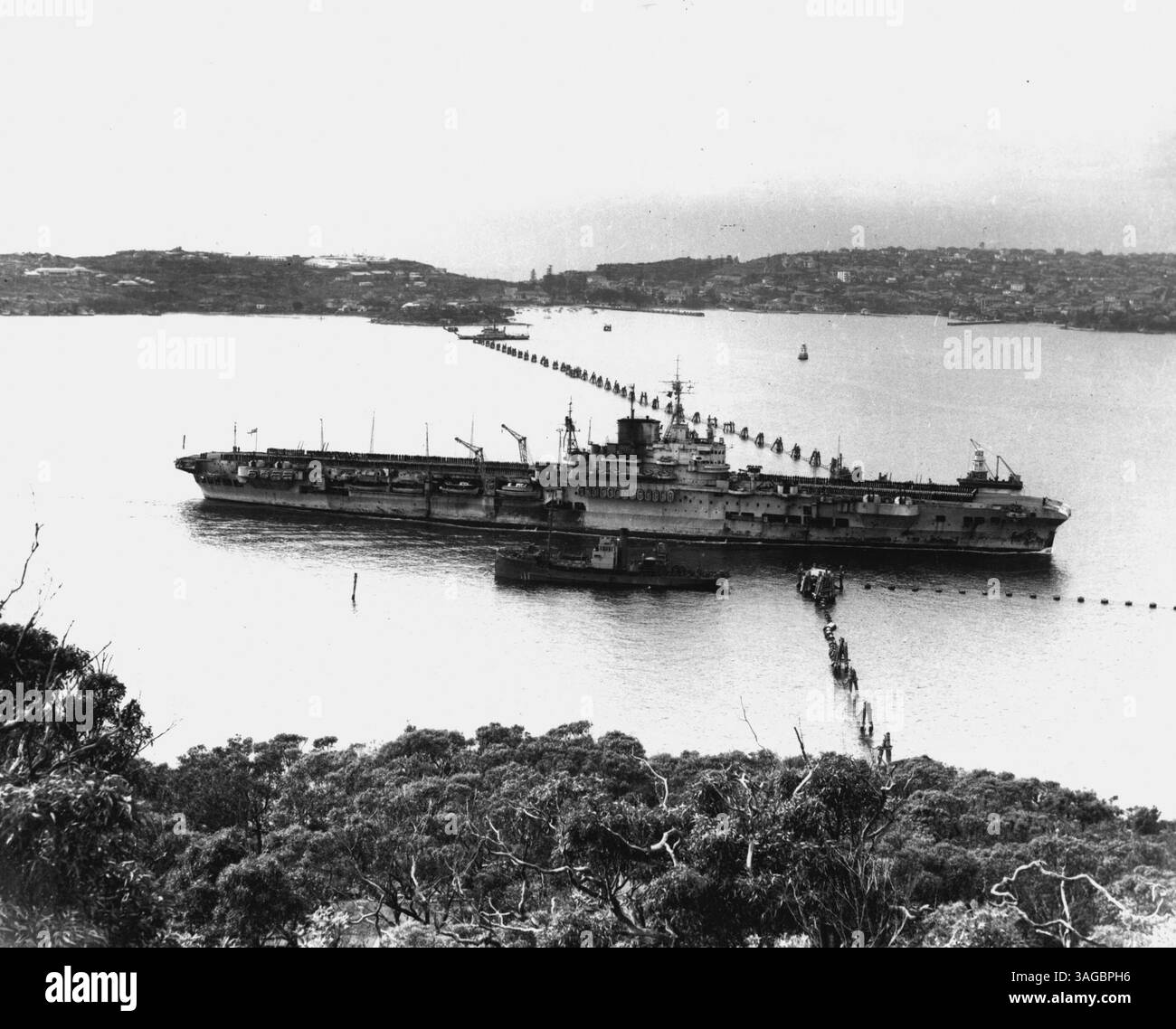 Seen from Georges Heights, Royal Naval Aircraft Carrier force arrives ...