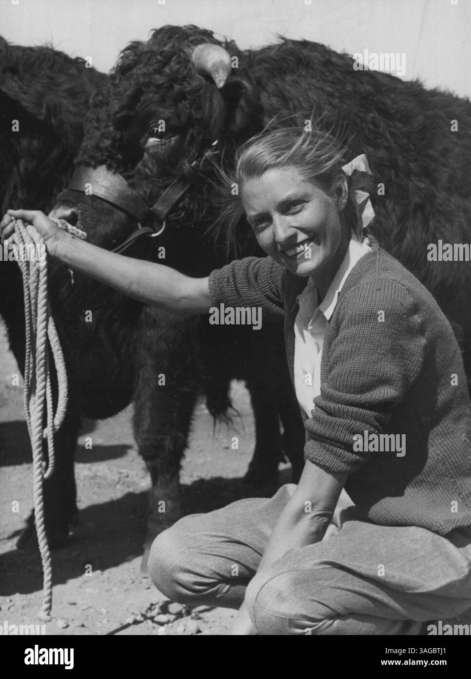 Mr. Steven Calder. June 30, 1953 Stock Photo - Alamy